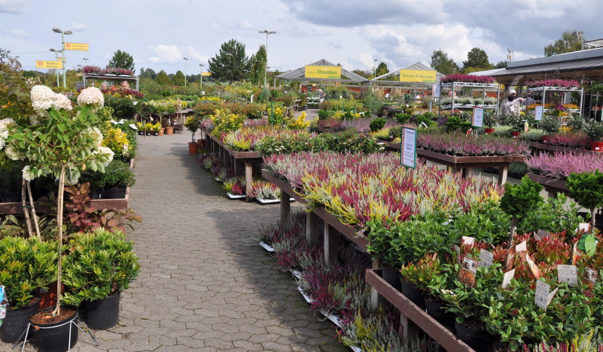 Schley Essen - Baumschule